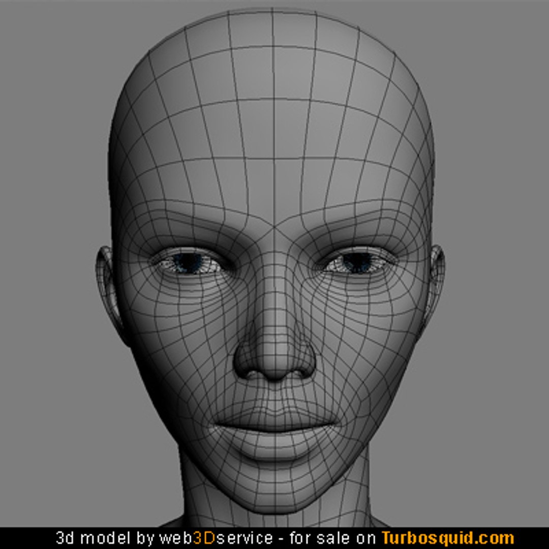 Beautiful Female Head Skin 3d Model