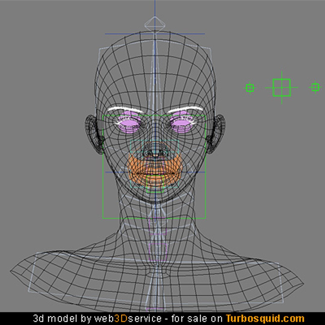 Beautiful Female Head Skin 3d Model