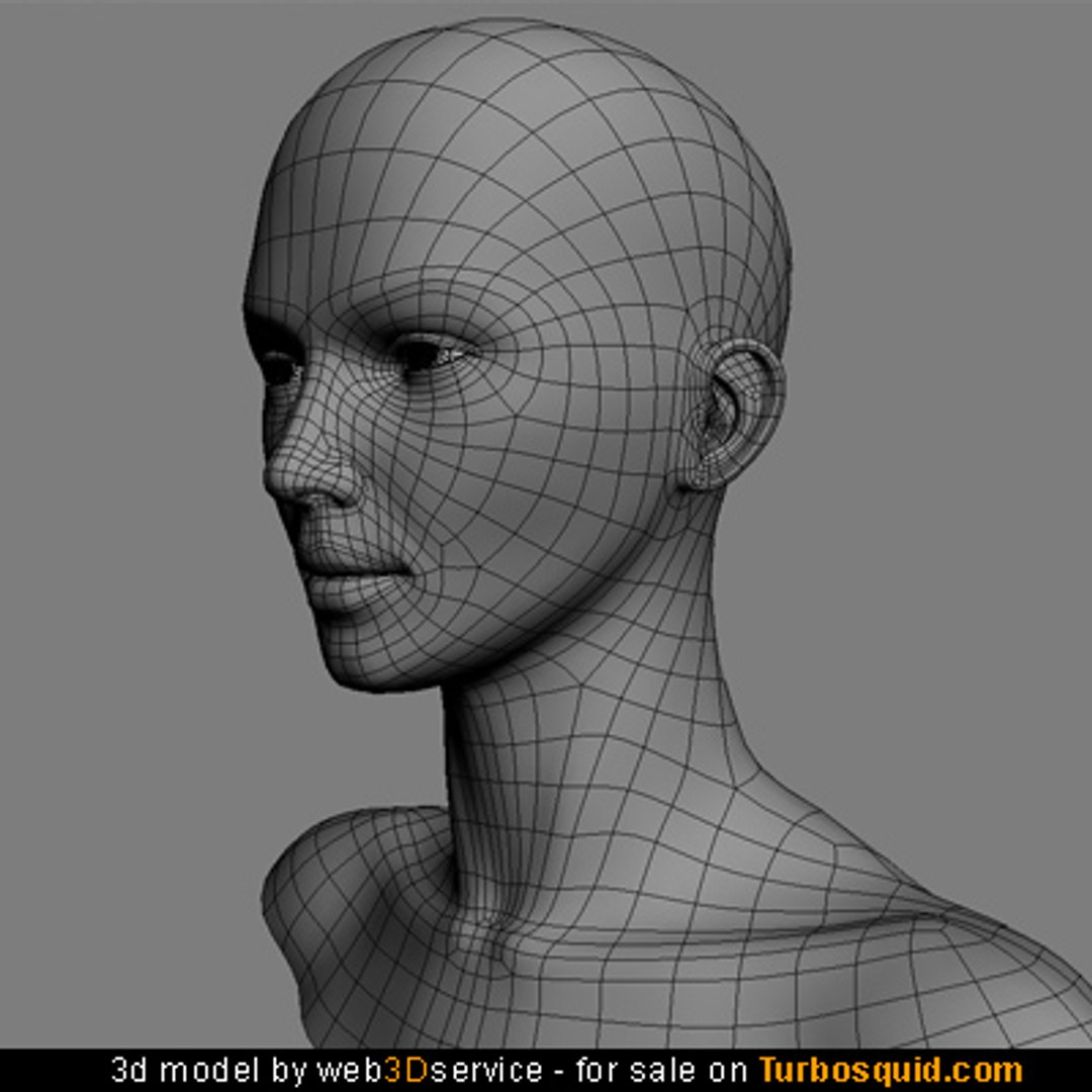 Beautiful Female Head Skin 3d Model