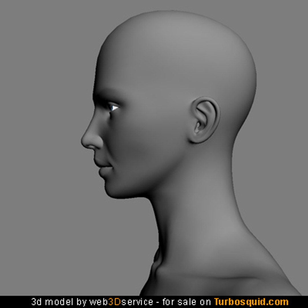 Beautiful Female Head Skin 3d Model