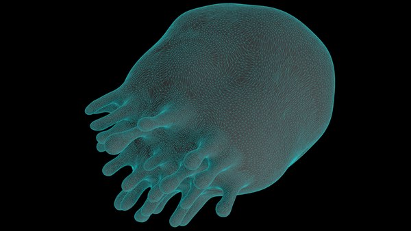 Animal cell realistic 3D - TurboSquid 1665731