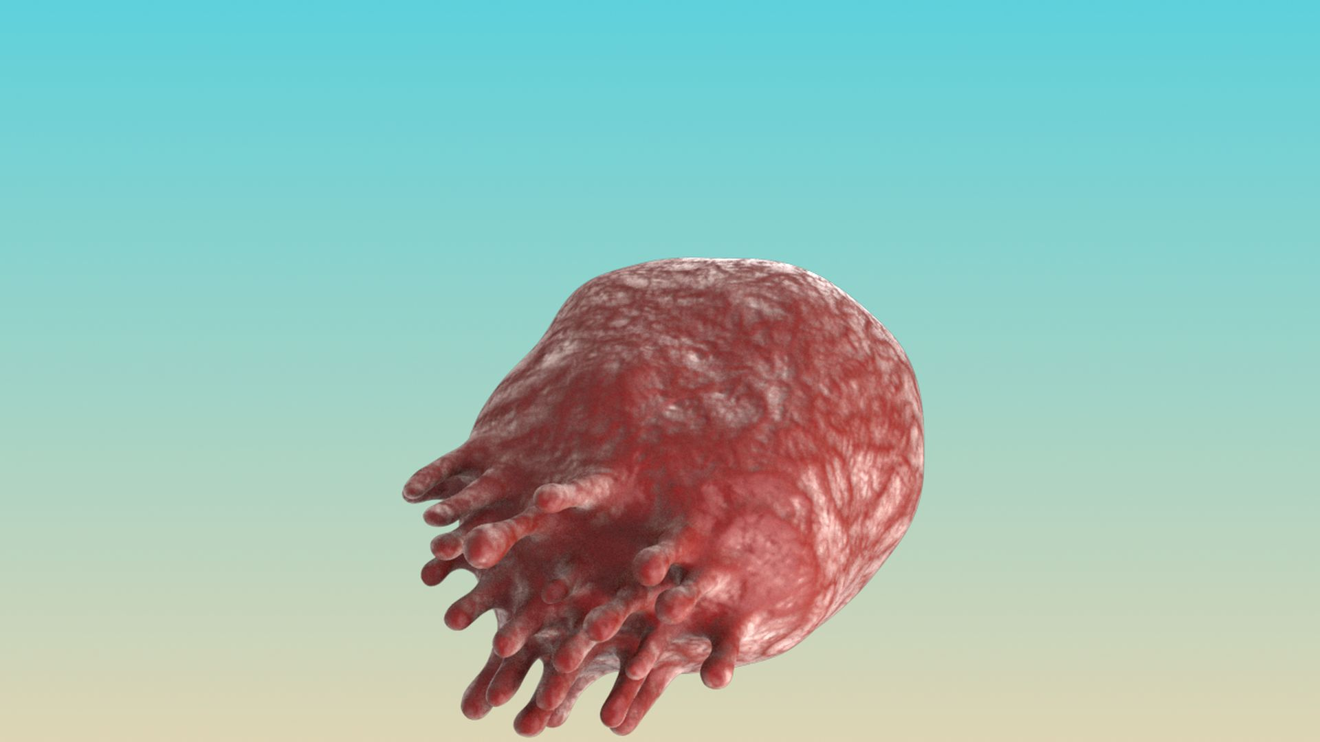 Animal Cell Realistic 3D - TurboSquid 1665731