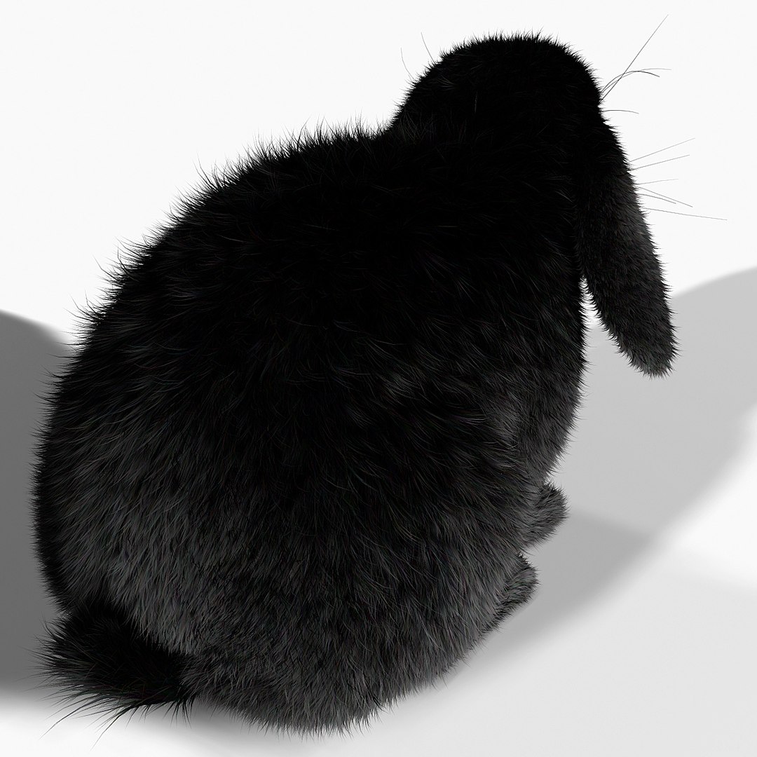 Rabbit Black Fur Max