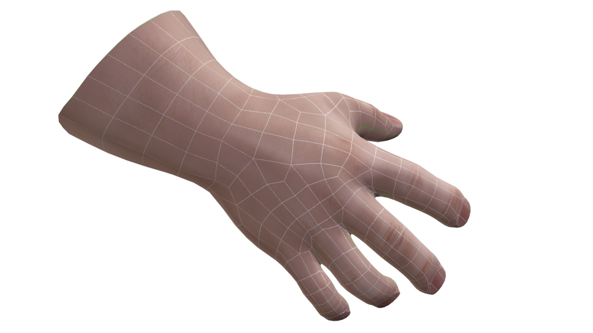3d Hand Rigged Model