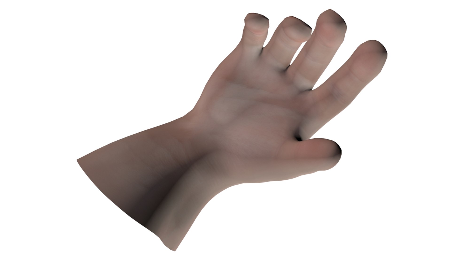 3d Hand Rigged Model