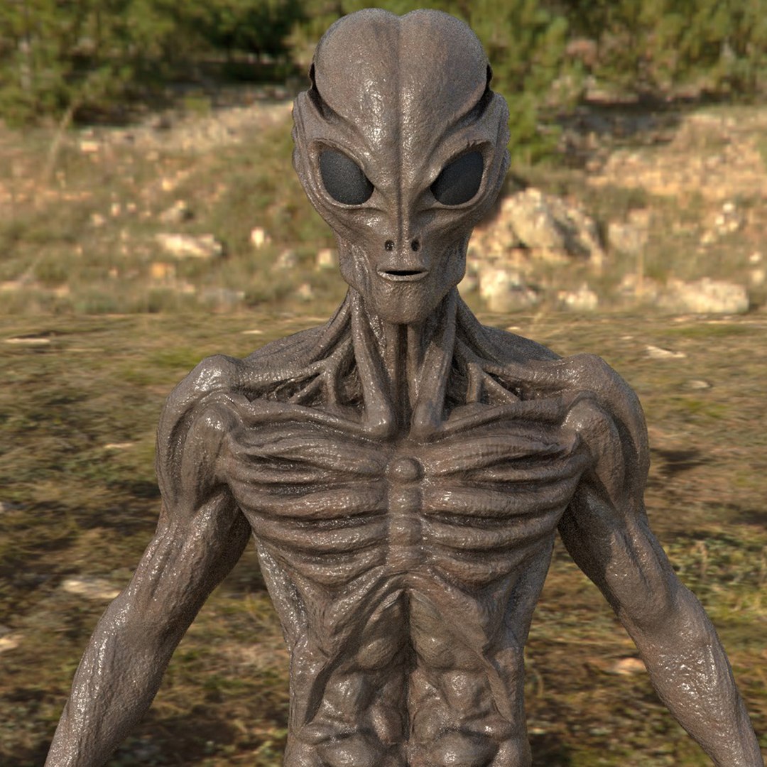 3D Model Alien Creature - High Detail PBR Model - TurboSquid 2395822