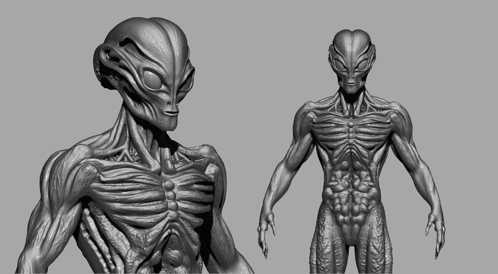 3D Model Alien Creature - High Detail PBR Model - TurboSquid 2395822
