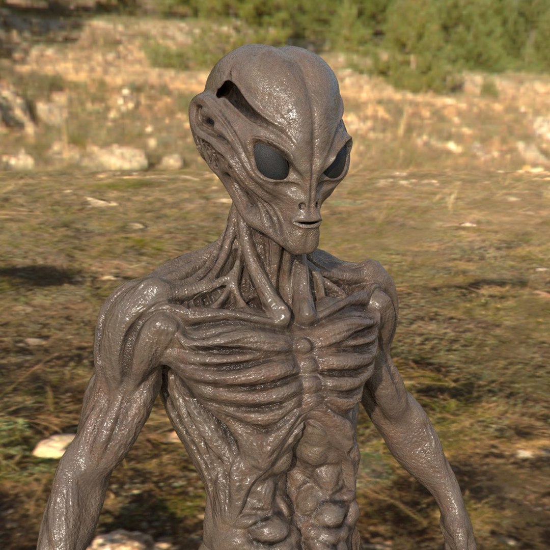 3D Model Alien Creature - High Detail PBR Model - TurboSquid 2395822