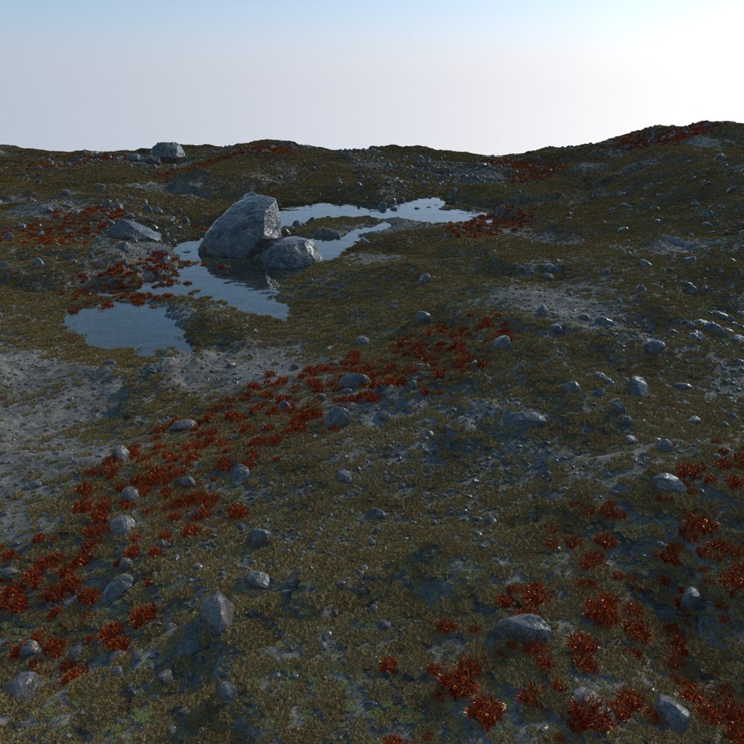3d Model Tundra Landscape