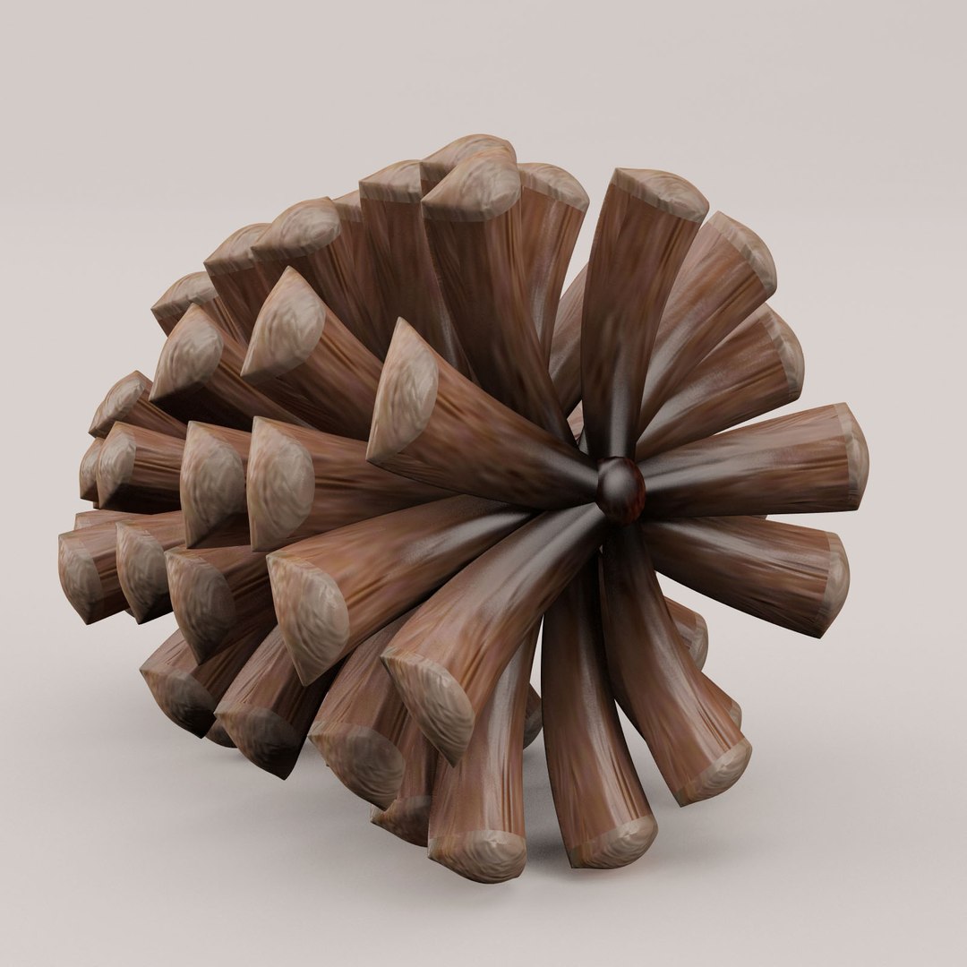 Pine Cone 3d Max