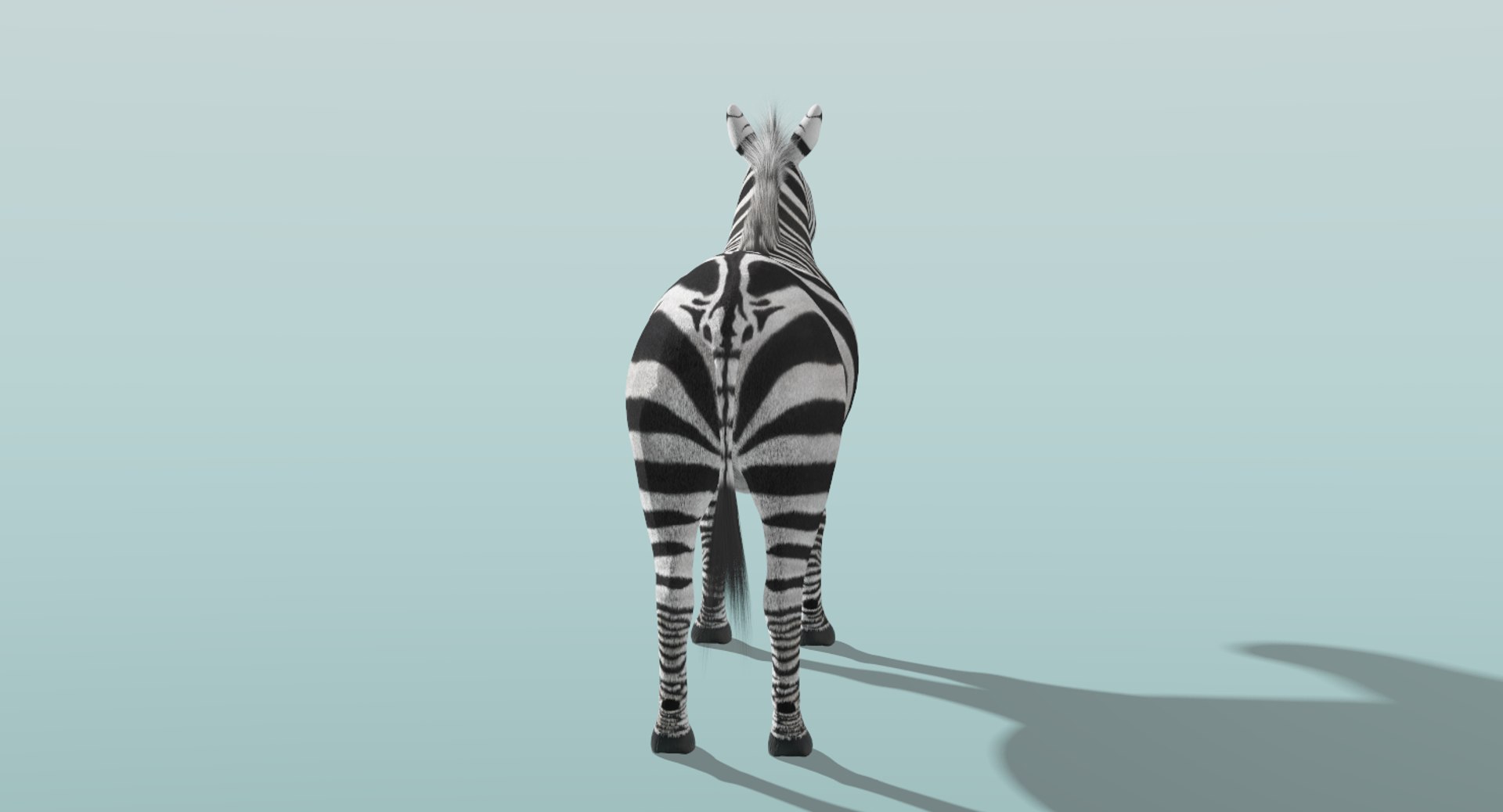 Zebra Fur Animation 3d Max