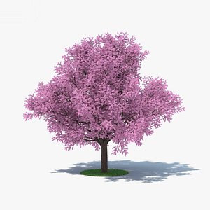 3D SAKURA Models | TurboSquid