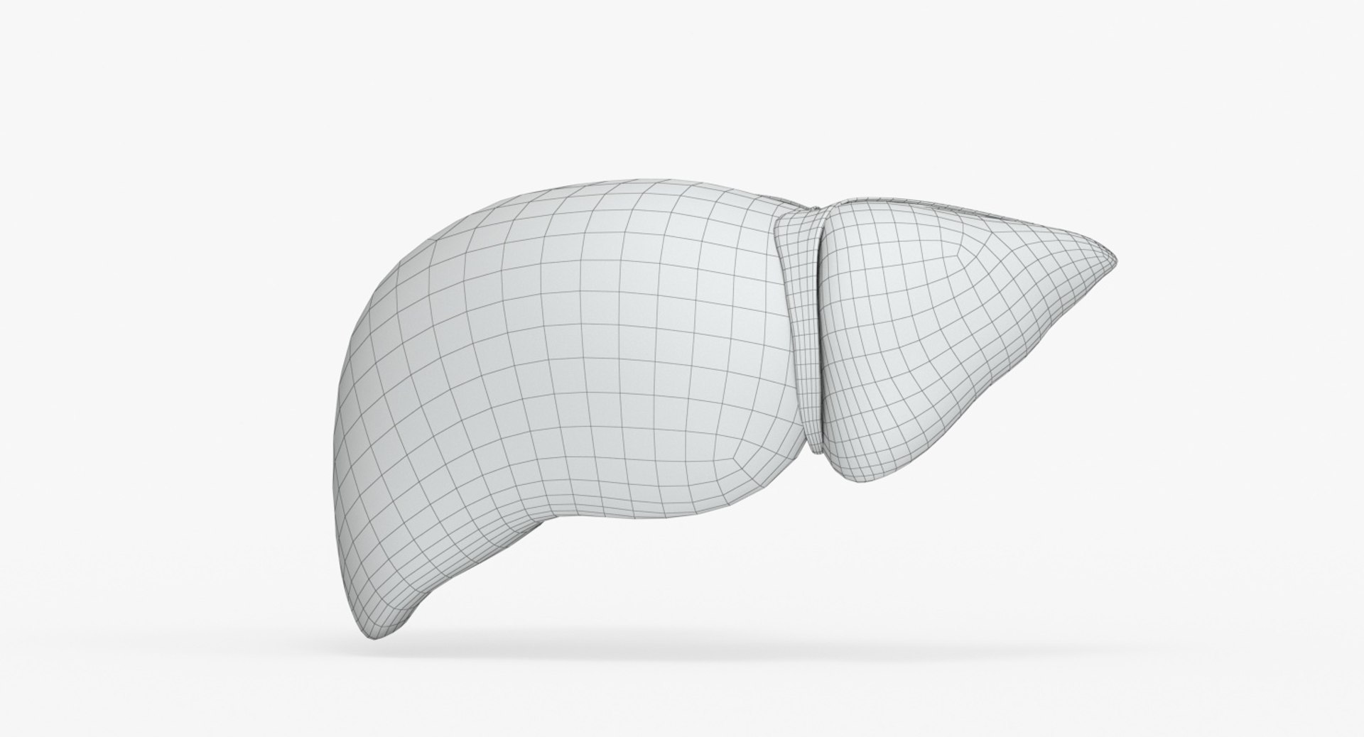 Liver Anatomical Segments 3D - TurboSquid 1383517