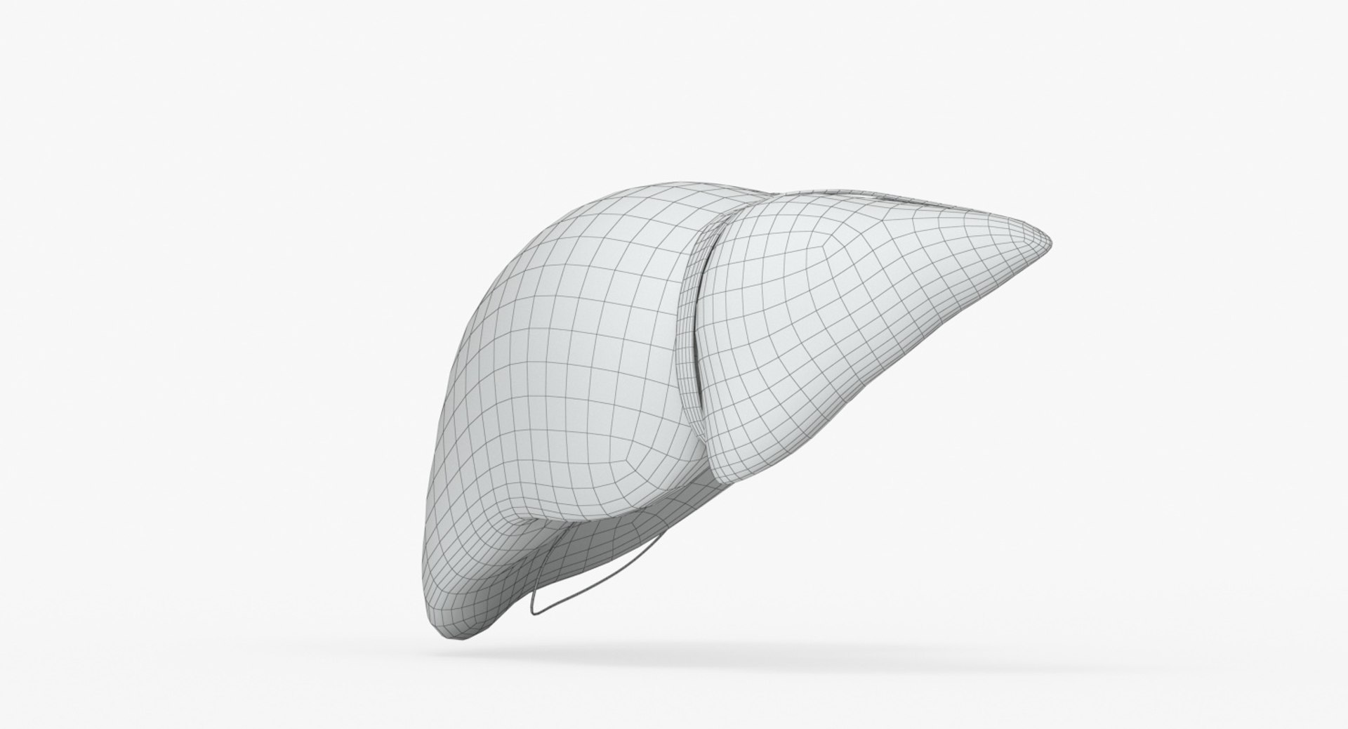 Liver Anatomical Segments 3D - TurboSquid 1383517