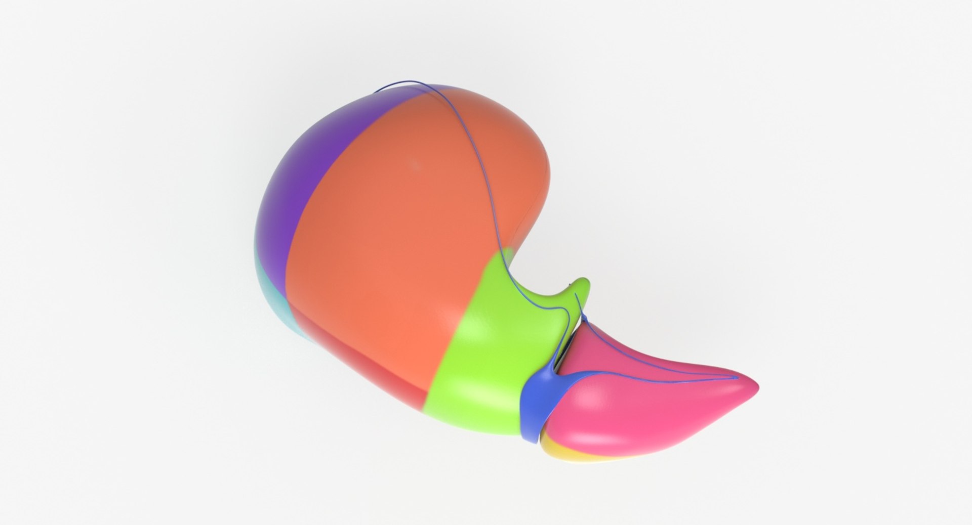 Liver Anatomical Segments 3D - TurboSquid 1383517