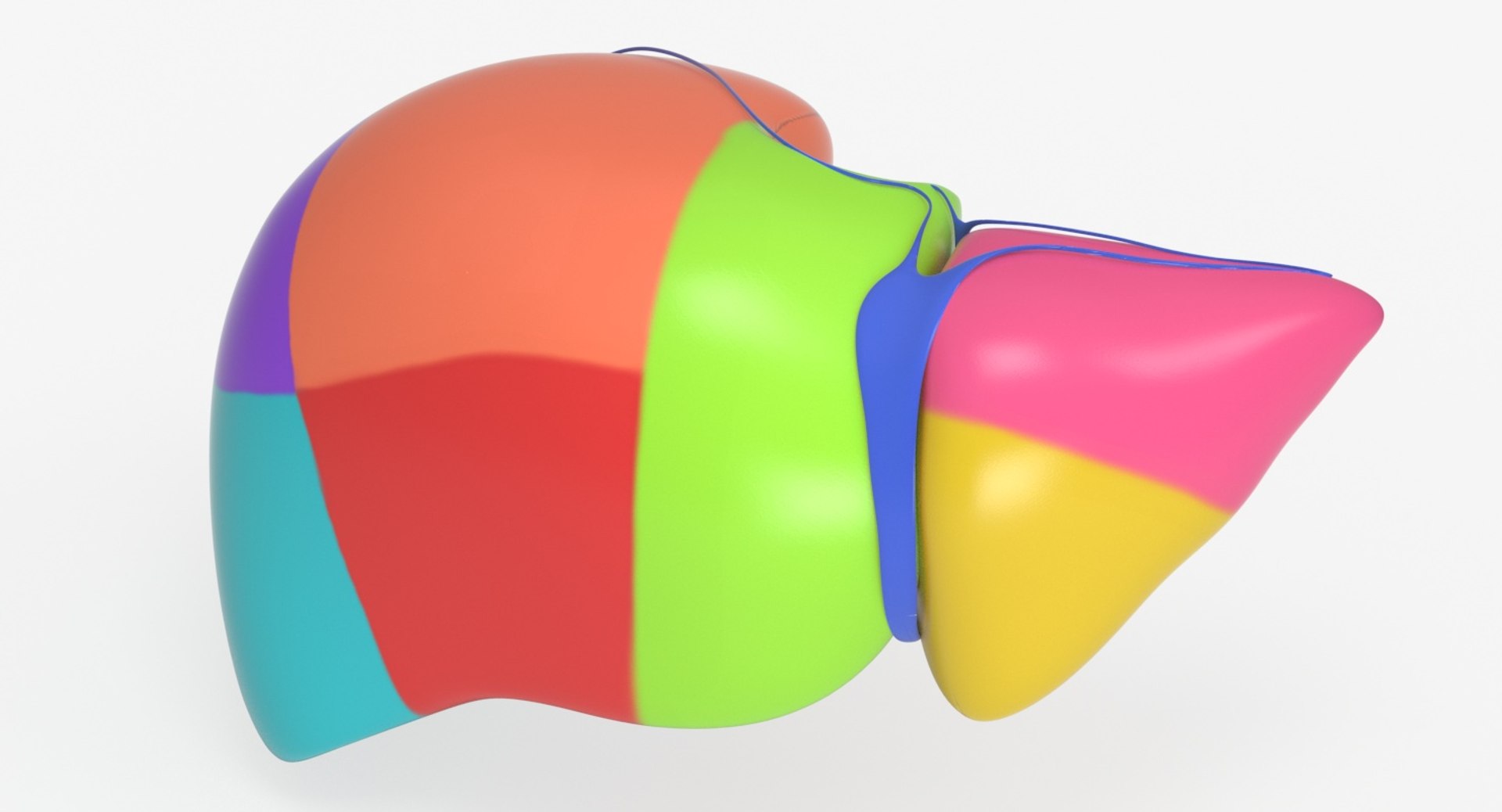 Liver Anatomical Segments 3D - TurboSquid 1383517