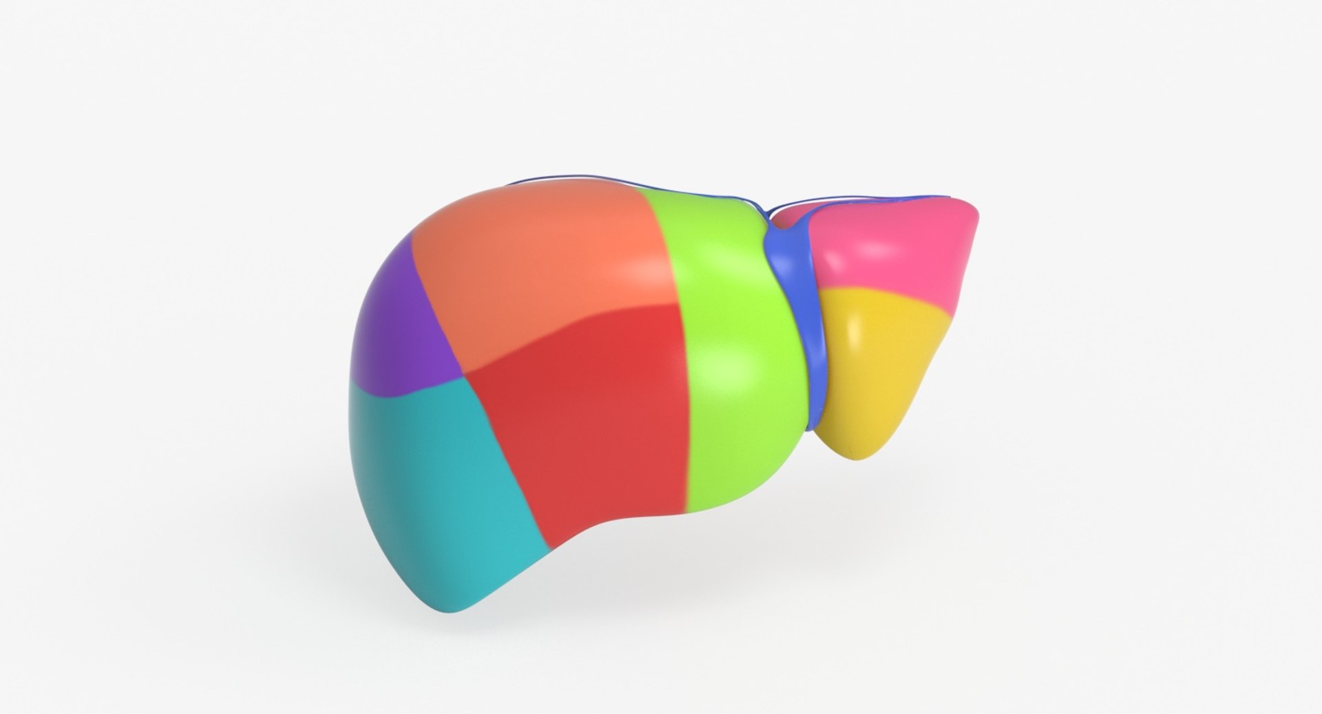 Liver Anatomical Segments 3D - TurboSquid 1383517