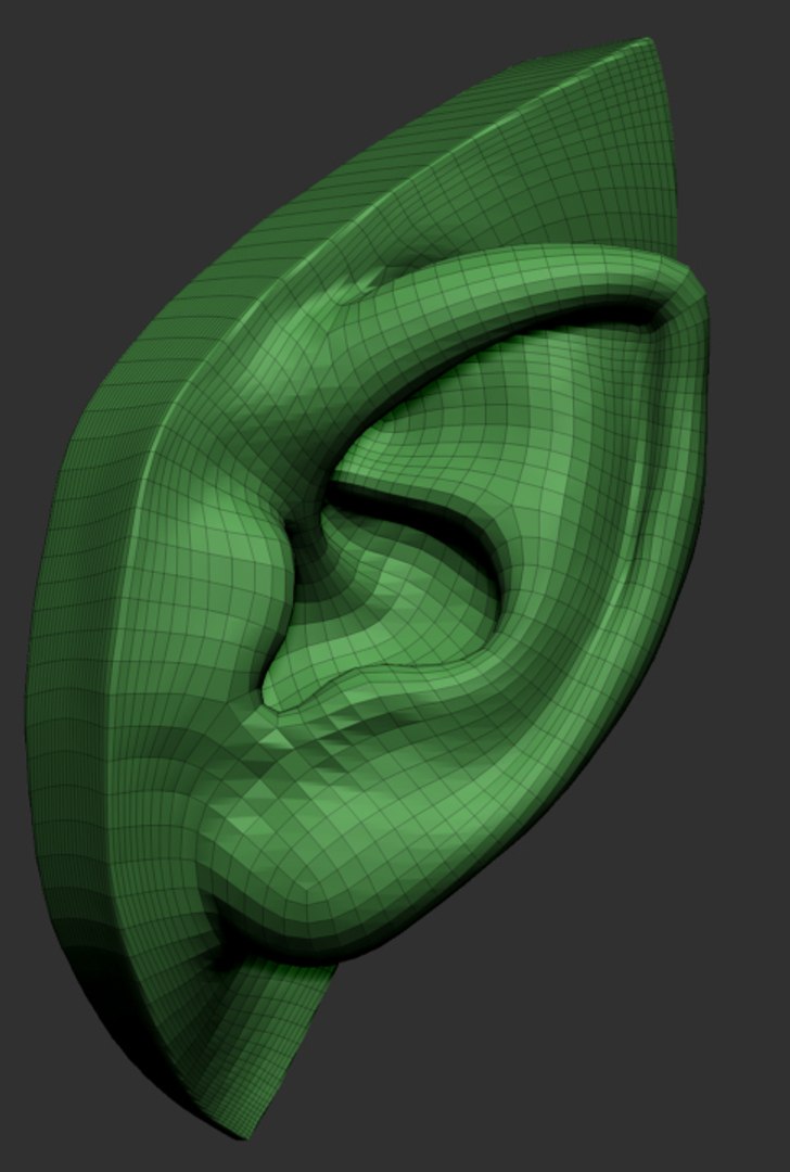 Ear Ztl Stl 3D Model - TurboSquid 1301024