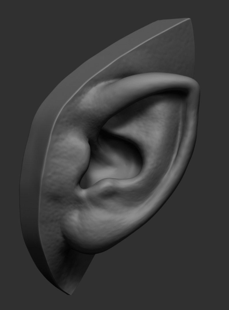 Ear Ztl Stl 3D Model - TurboSquid 1301024