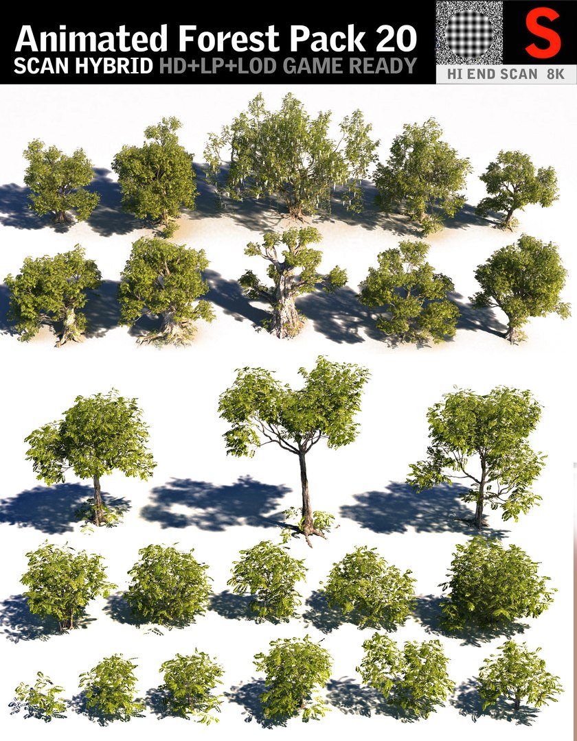 Forest hd 3D model - TurboSquid 1287693