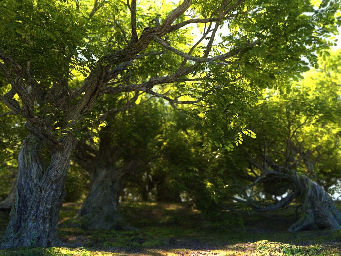 Forest hd 3D model - TurboSquid 1287693