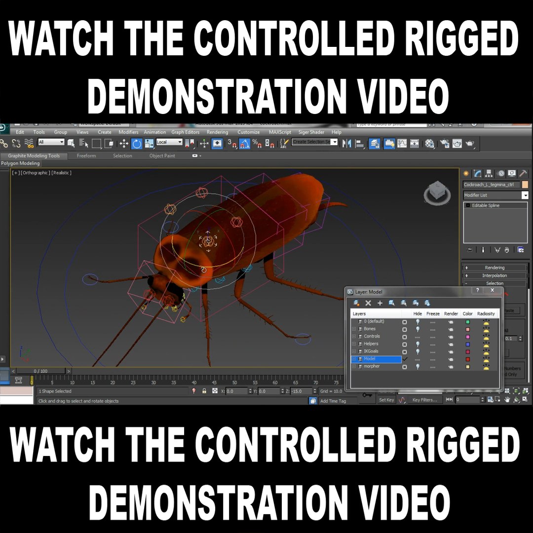 Dugm05 Cockroach 3d Model
