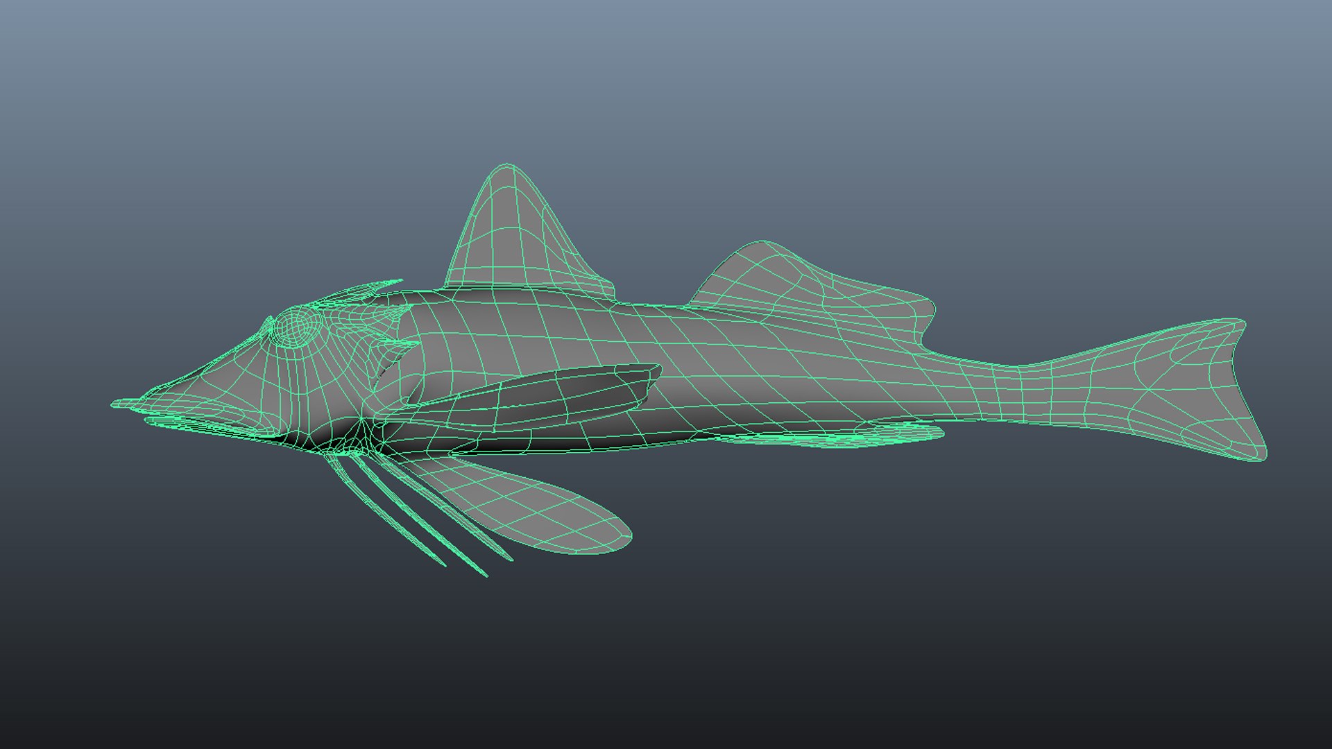 3D Model Saltwater Fish Collection 7 - TurboSquid 1831729