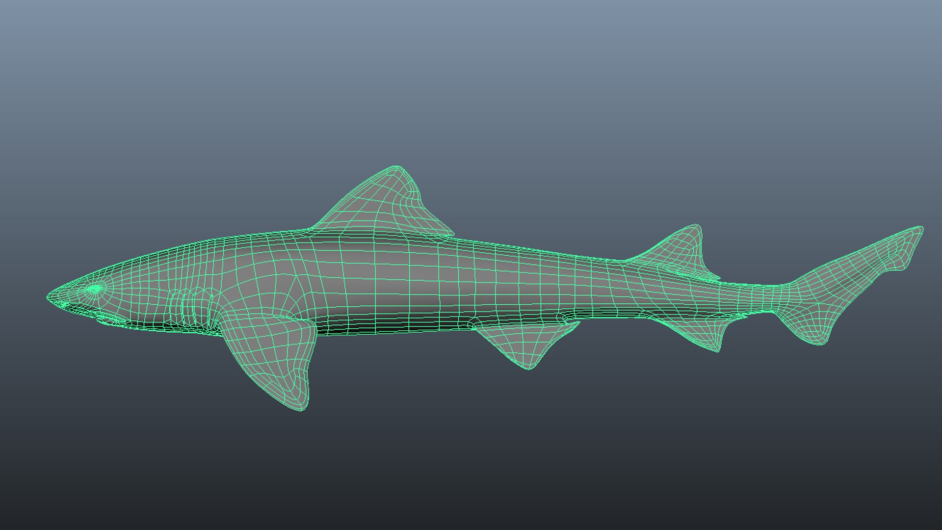 3D Model Saltwater Fish Collection 7 - TurboSquid 1831729