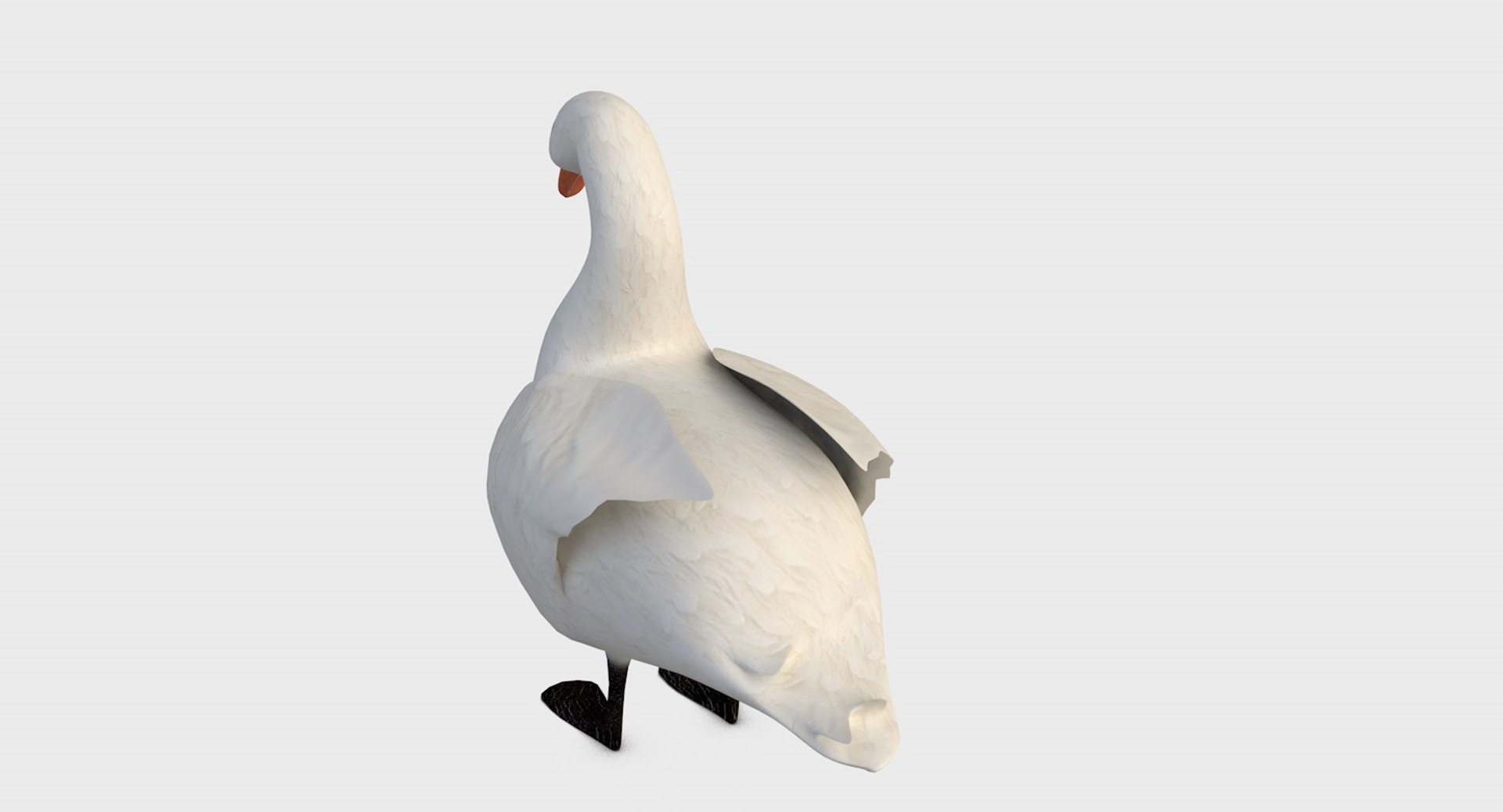 Swan Water Model - TurboSquid 1208052
