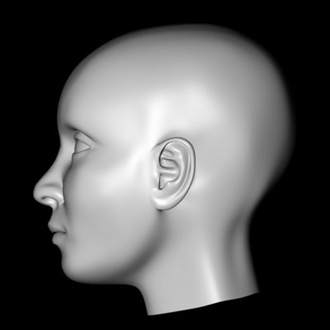 Human Female Head Reference 3d Model