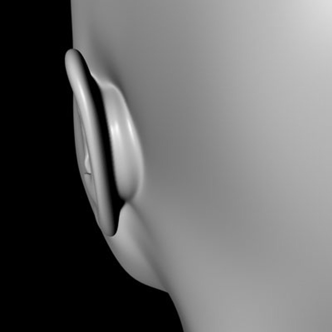 Human Female Head Reference 3d Model