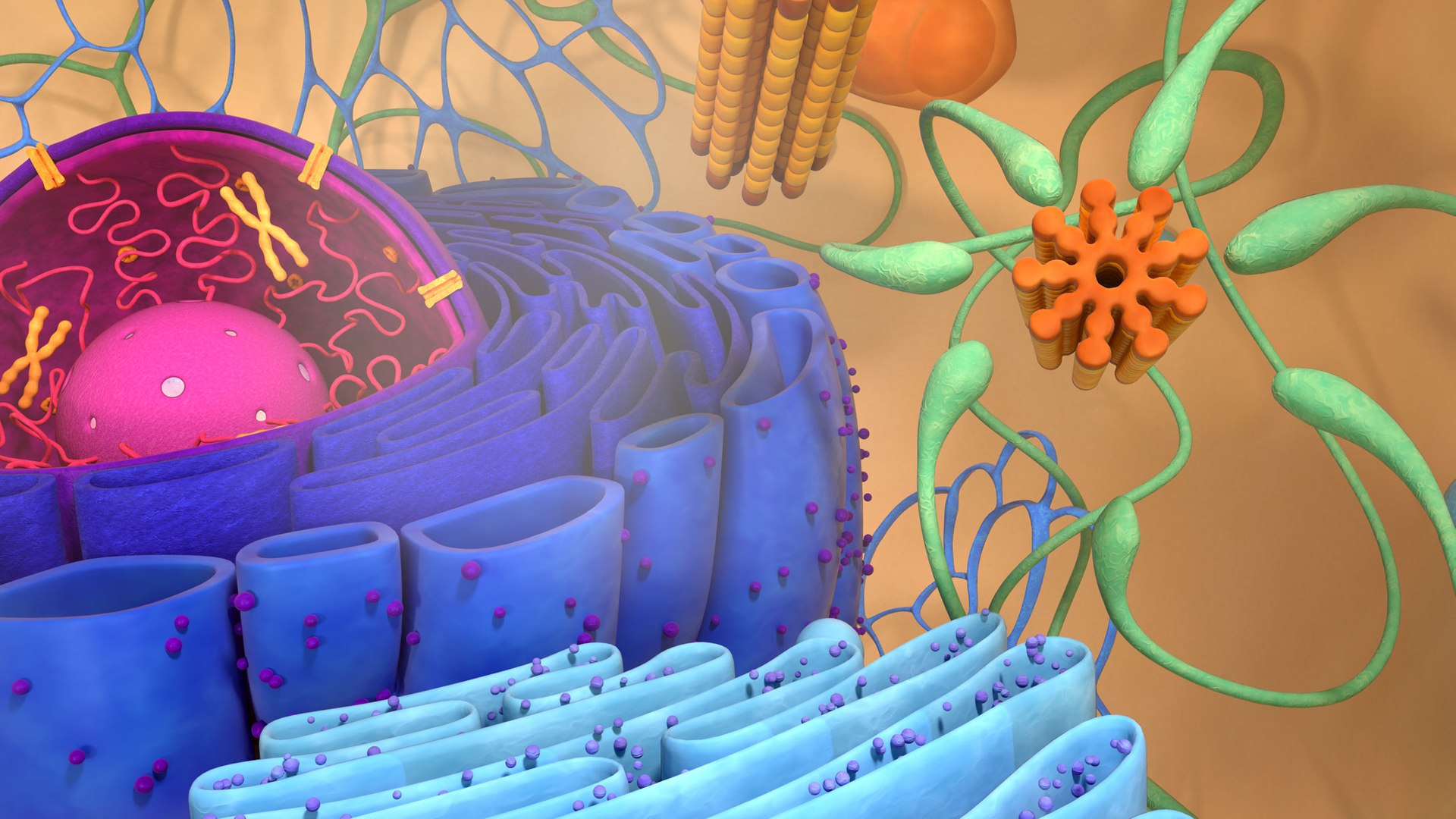 Living cell 3D model - TurboSquid 1377734