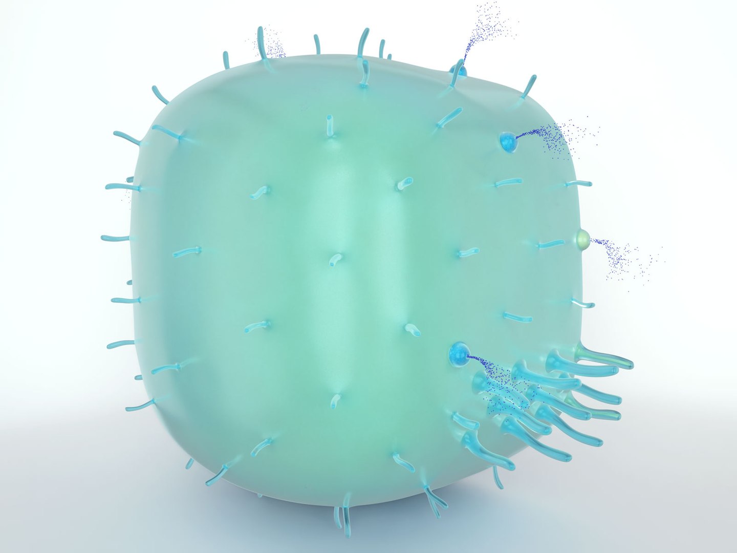Living cell 3D model - TurboSquid 1377734