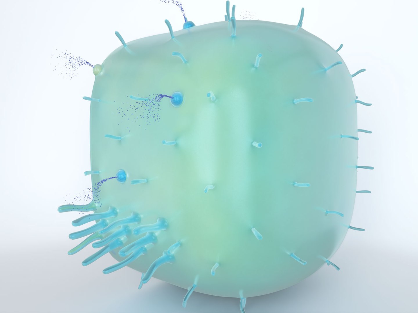 Living cell 3D model - TurboSquid 1377734