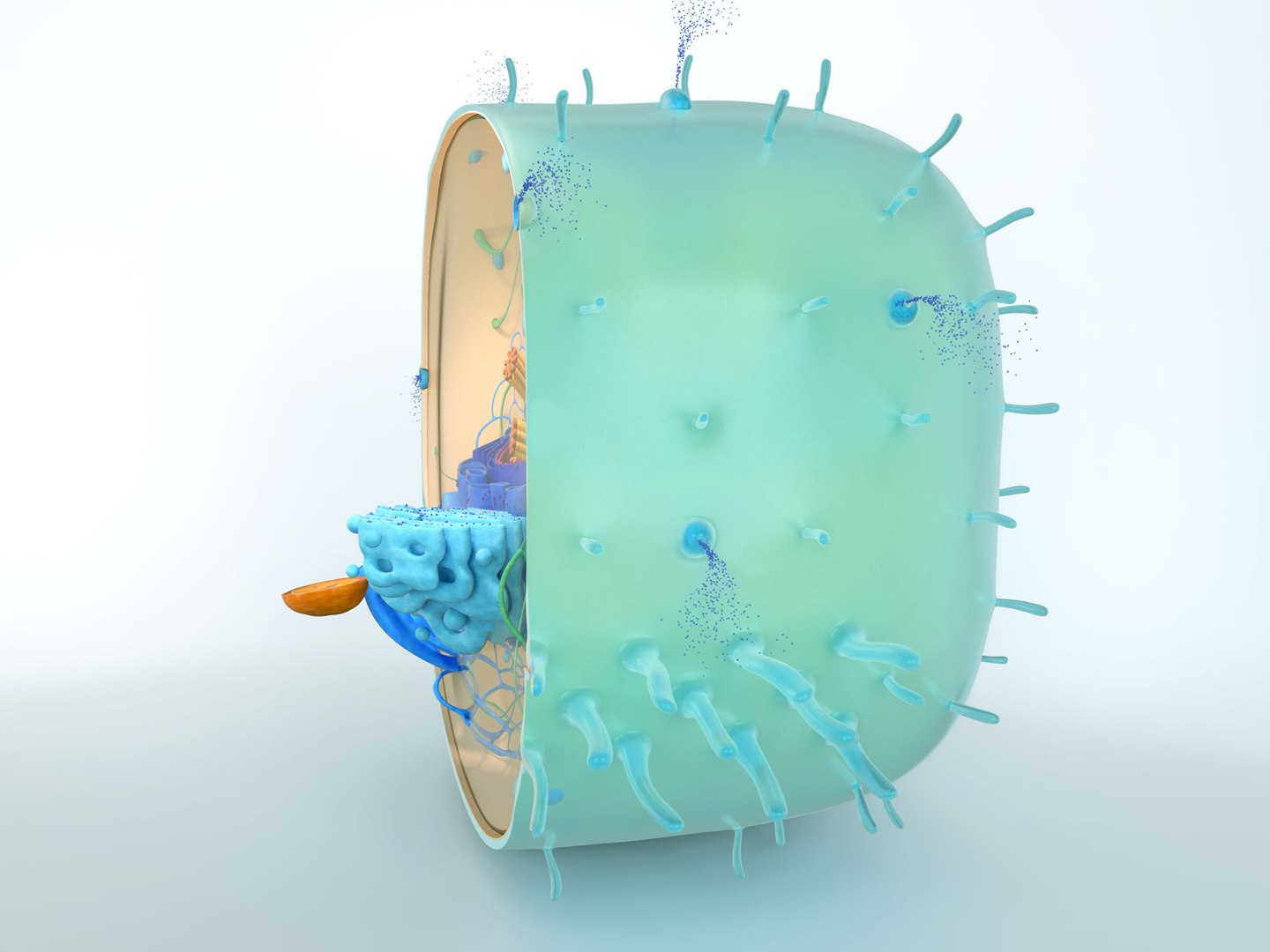 Living cell 3D model - TurboSquid 1377734