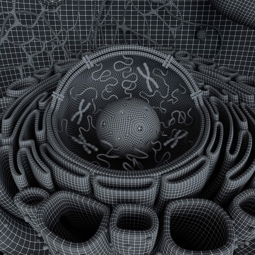 Living cell 3D model - TurboSquid 1377734