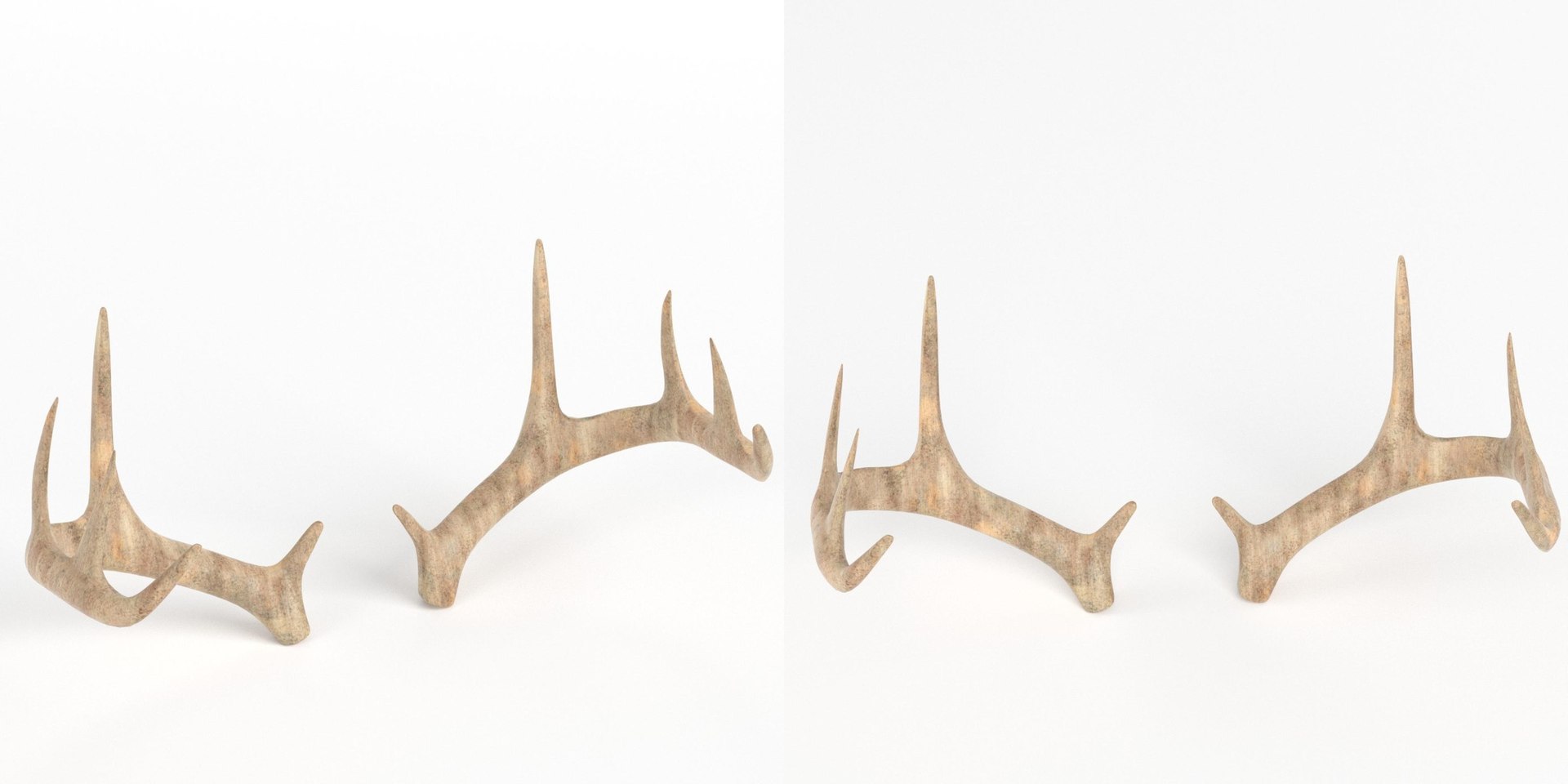 Antlers Ready Model - TurboSquid 1476543