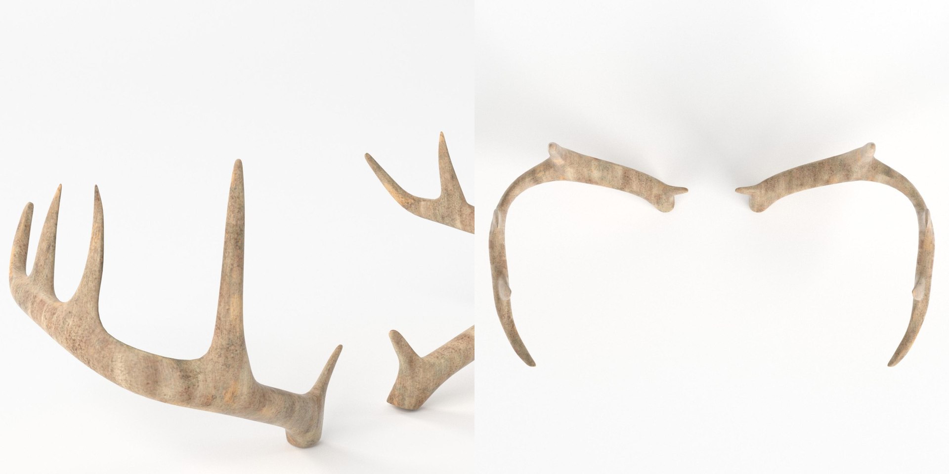 Antlers Ready Model - TurboSquid 1476543