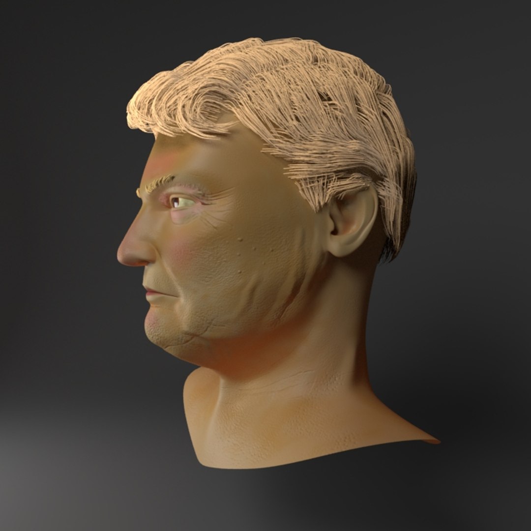 Donald Trump 3d Model