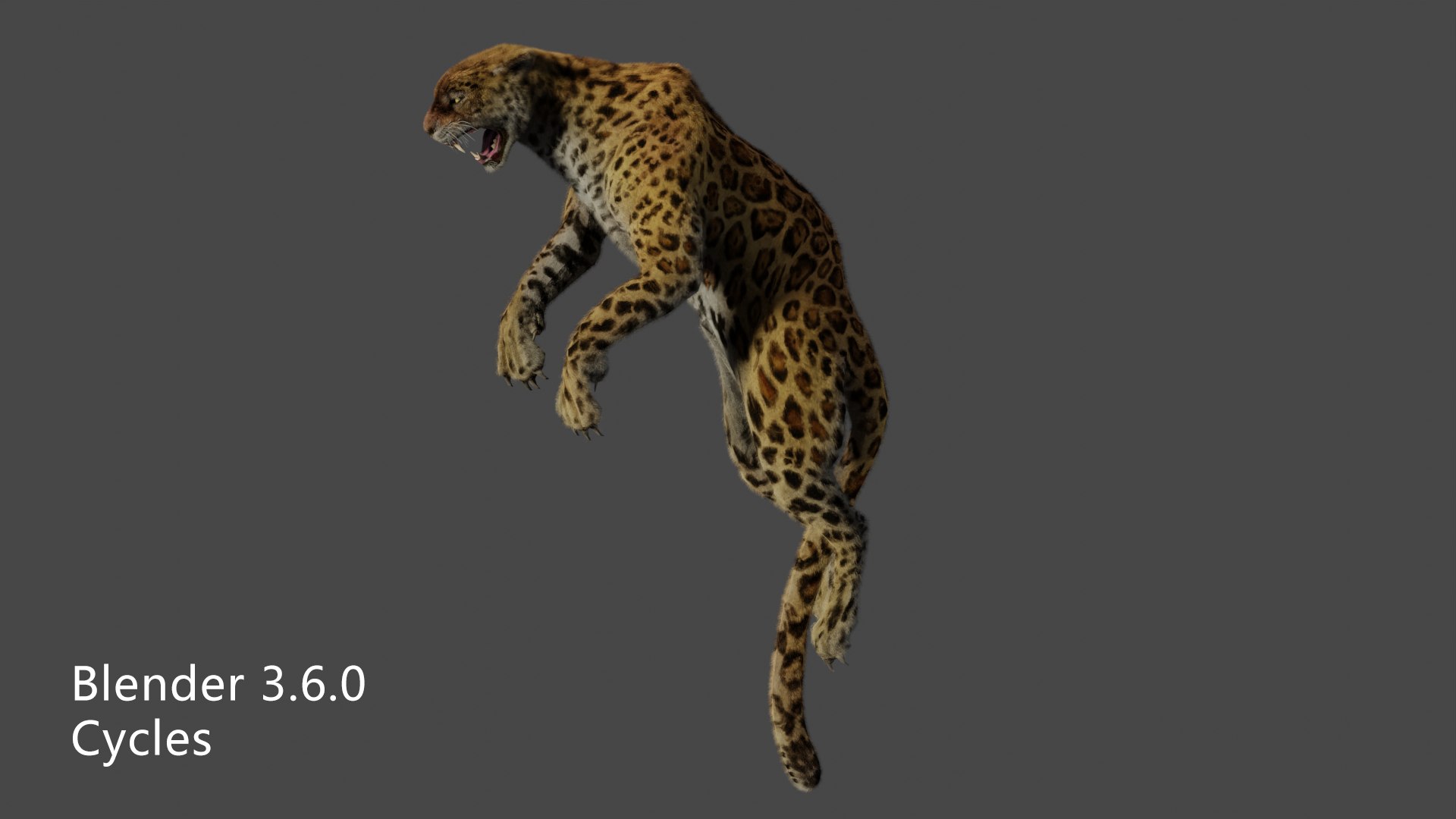Leopard 3D Model - TurboSquid 2180877