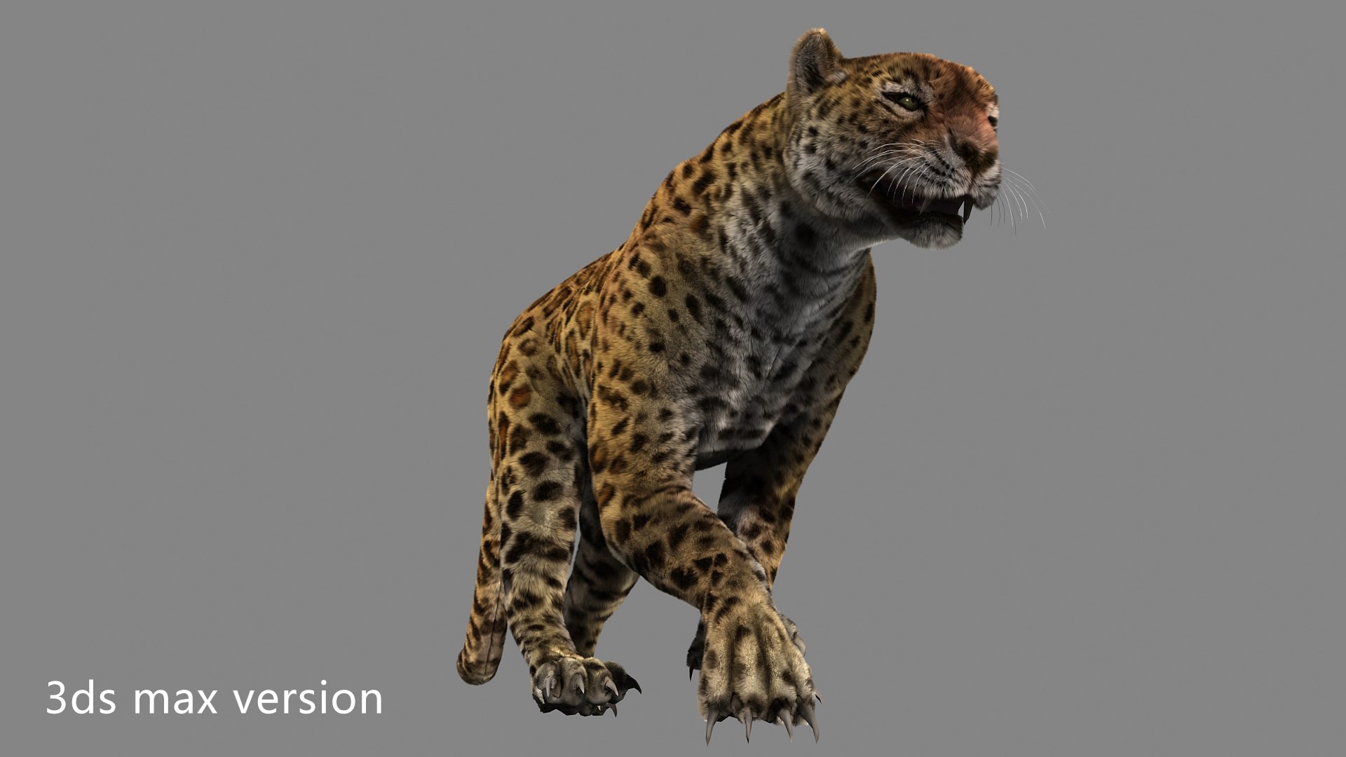 Leopard 3D Model - TurboSquid 2180877