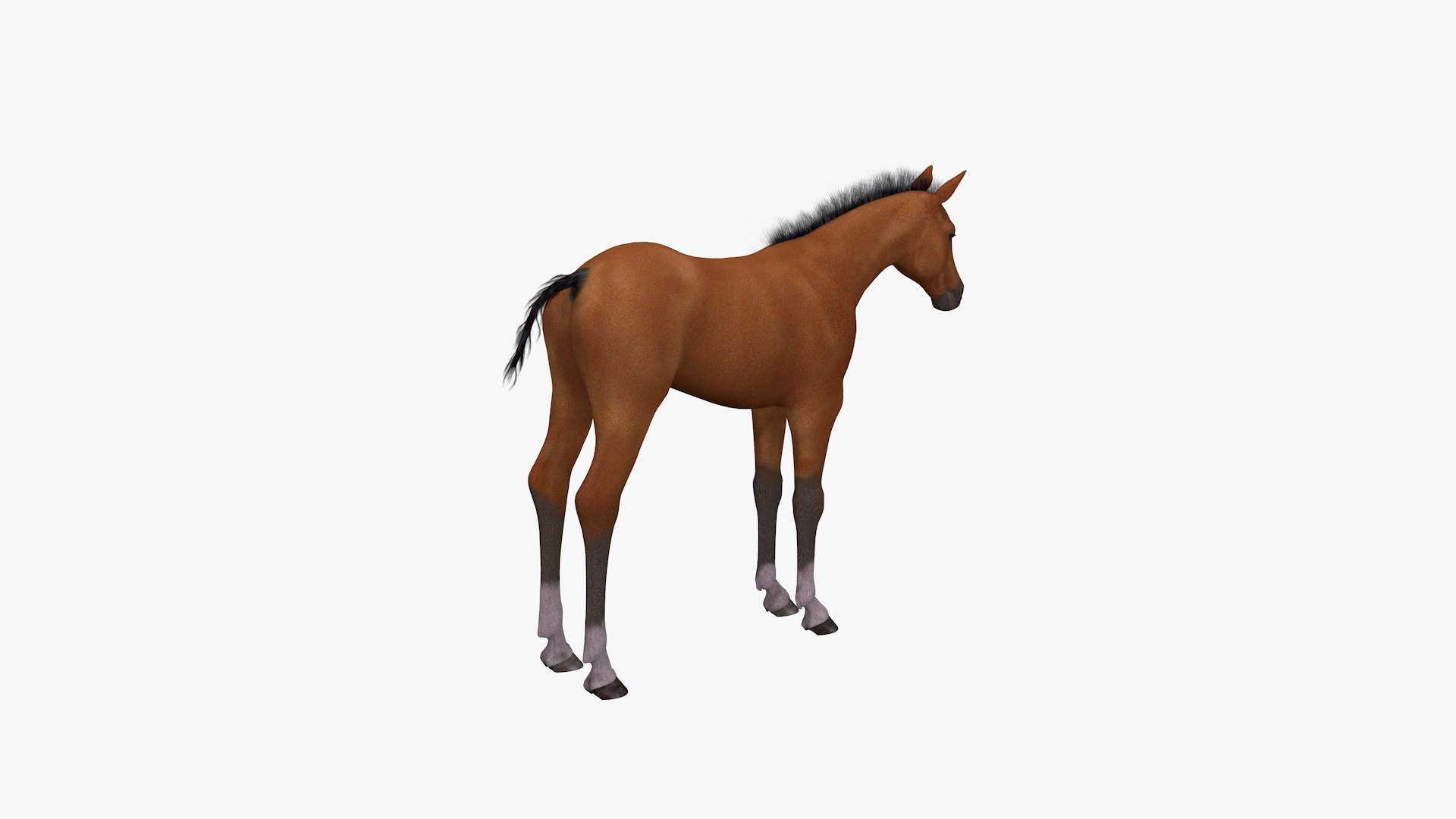 Millennium Horse 3D Model - TurboSquid 2351177