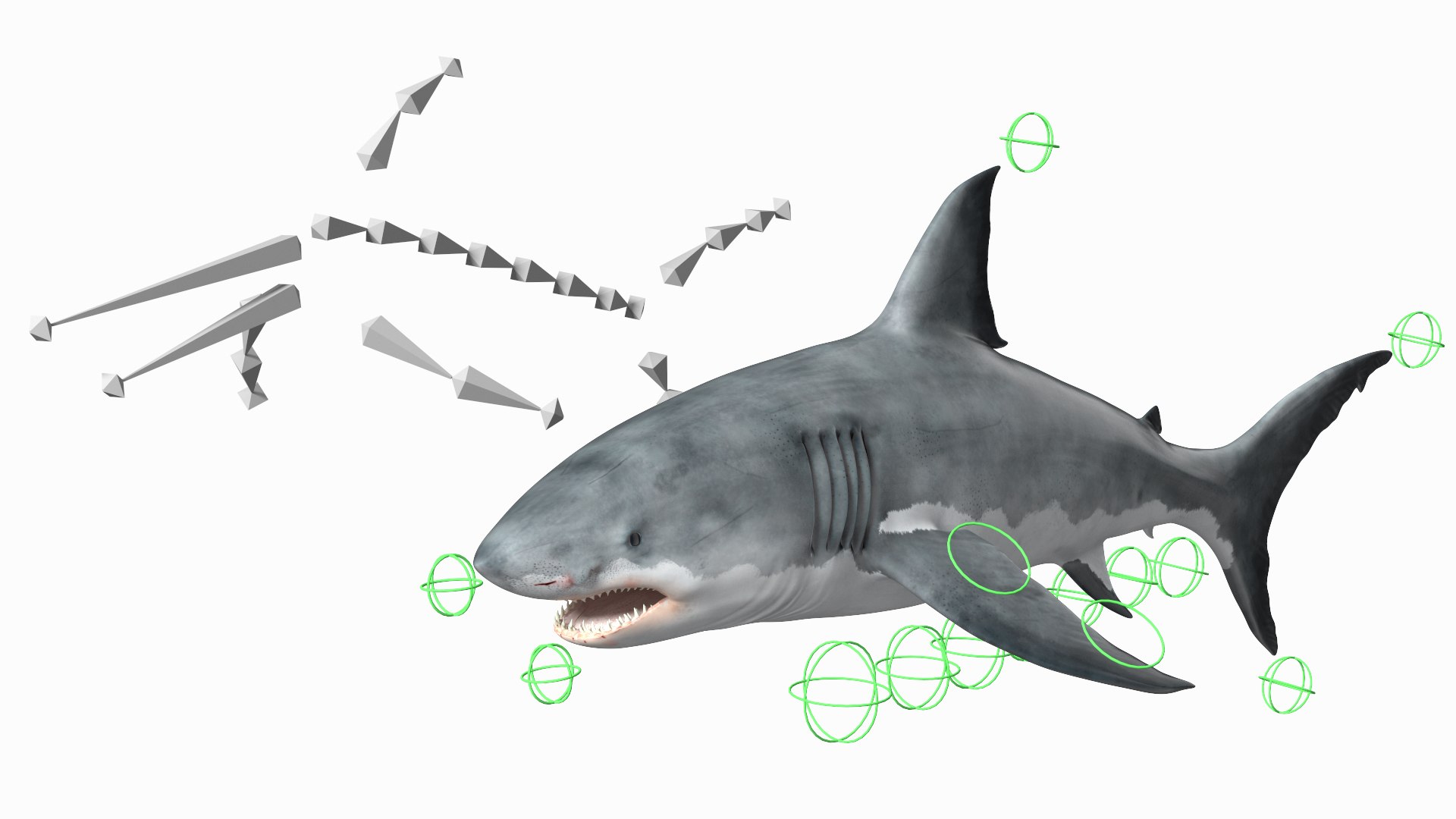Great White Shark Blood Stained Rigged 3D Model - TurboSquid 2198826