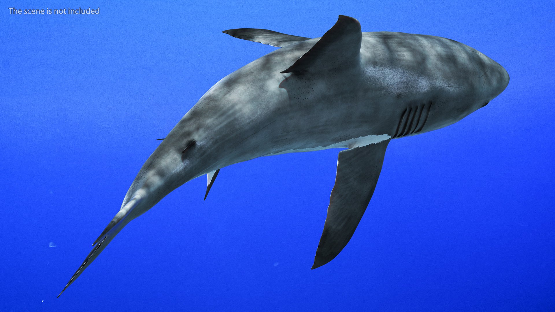 Great White Shark Blood Stained Rigged 3D Model - TurboSquid 2198826