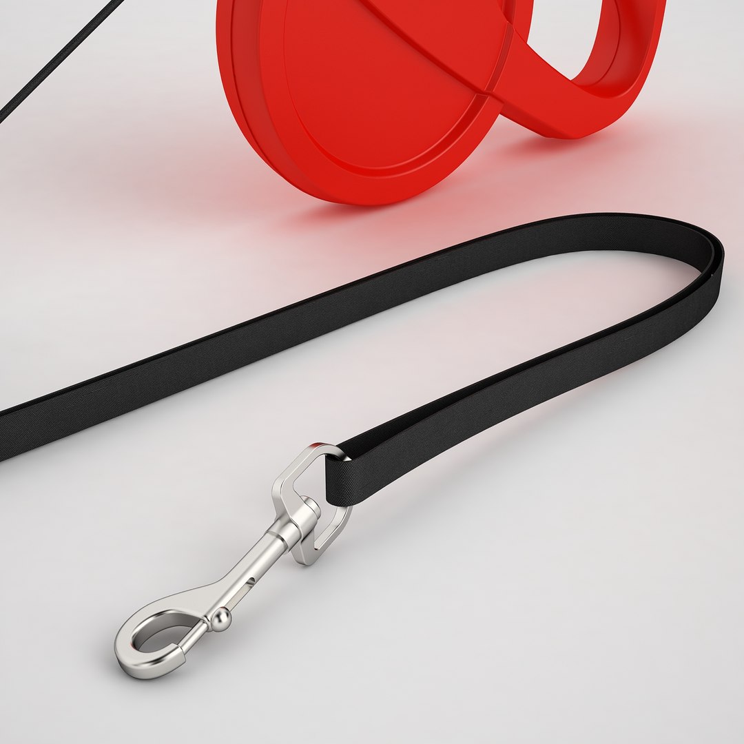 3d Dog Leash Model