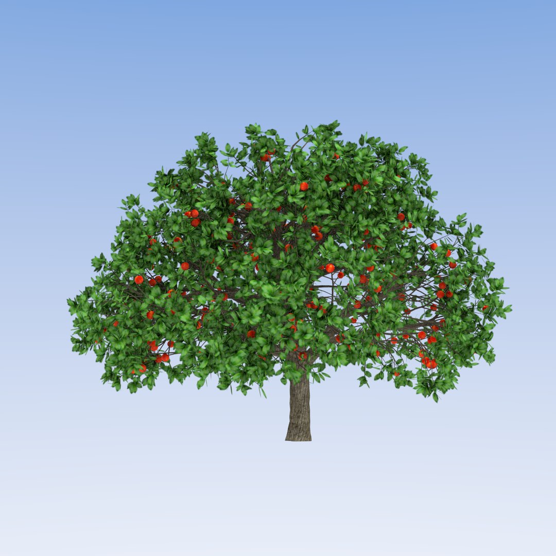 Apple tree 3D model - TurboSquid 935827