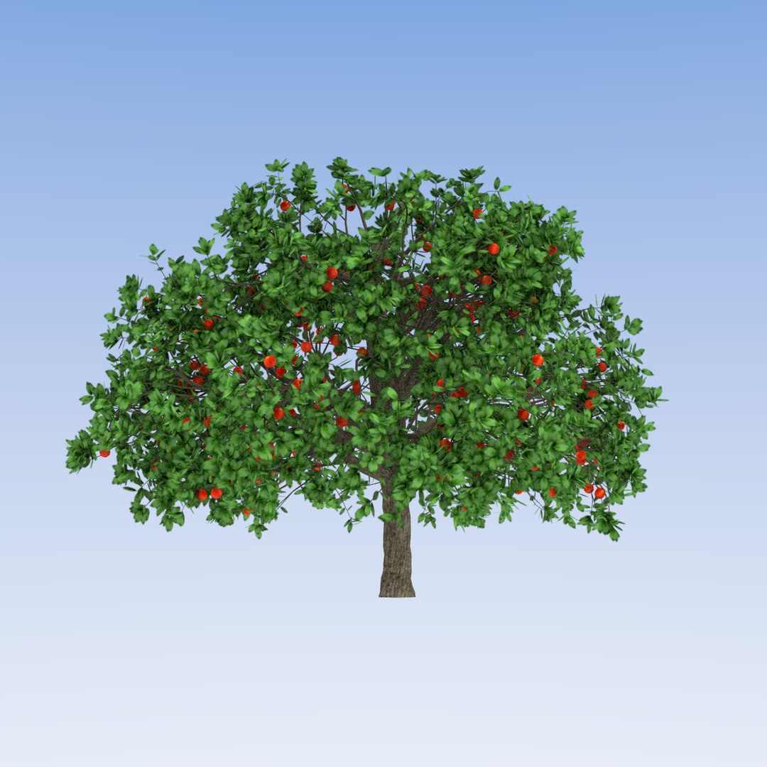 Apple tree 3D model - TurboSquid 935827
