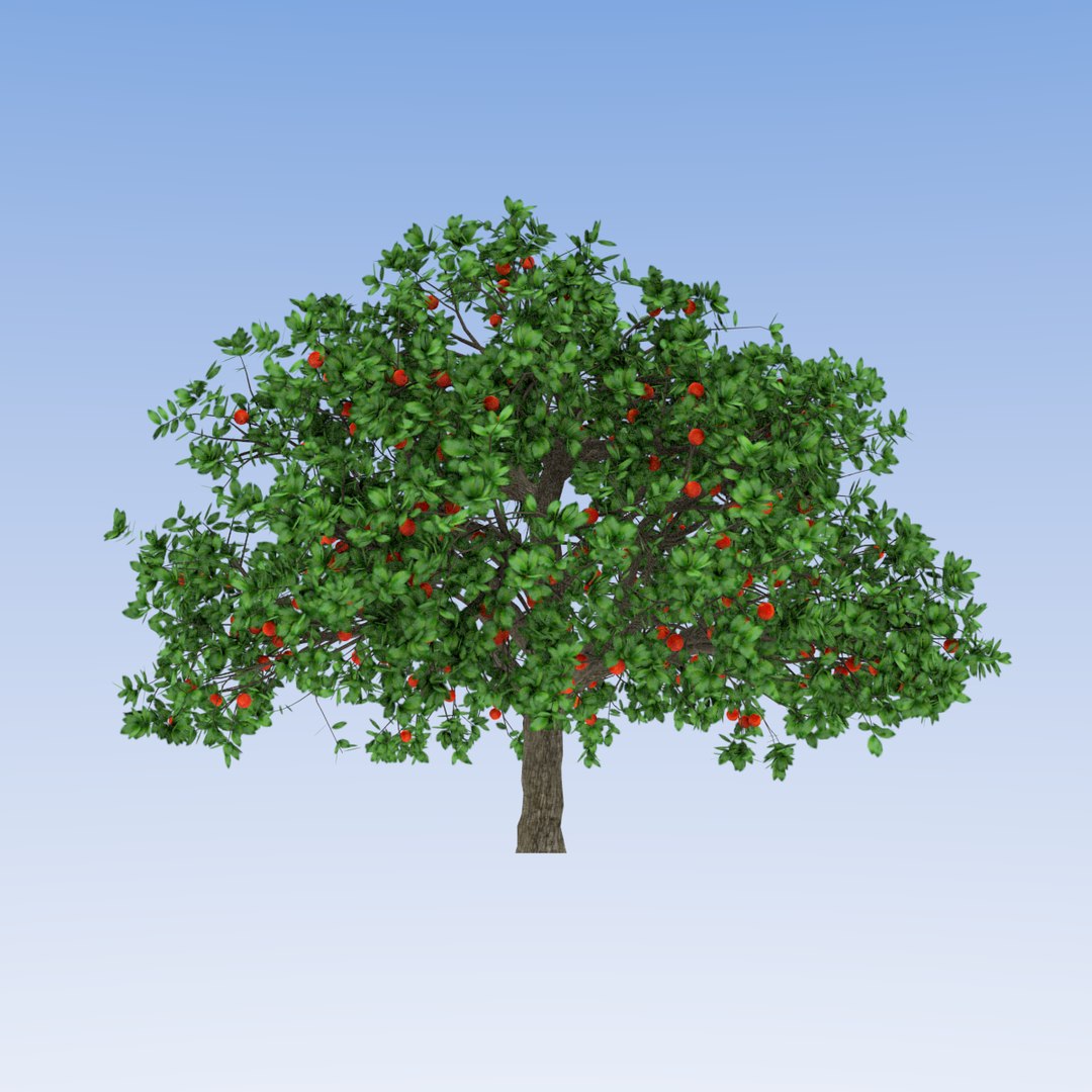 Apple tree 3D model - TurboSquid 935827