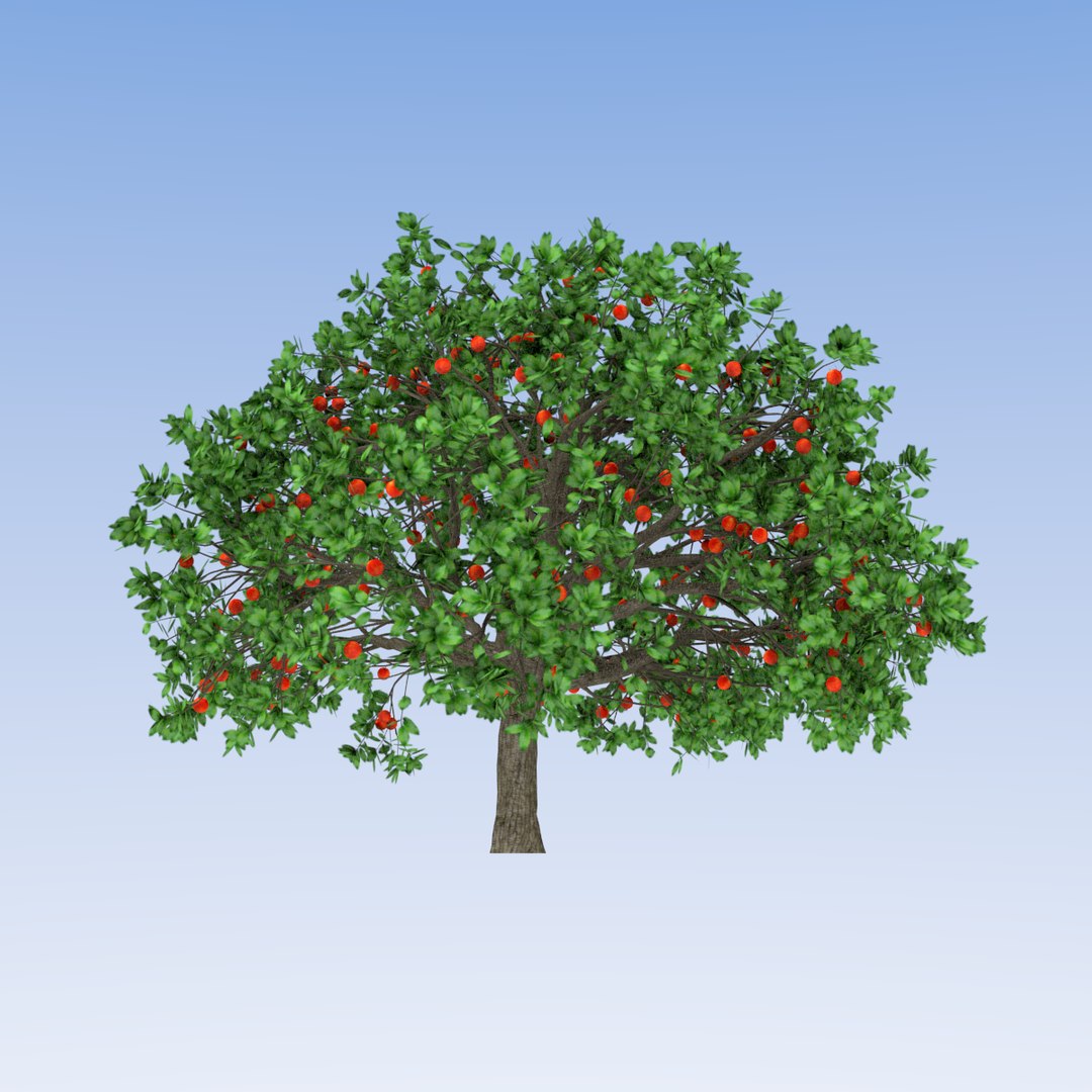 Apple tree 3D model - TurboSquid 935827