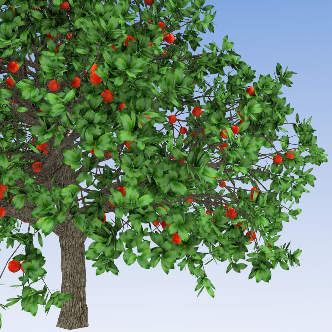 Apple tree 3D model - TurboSquid 935827